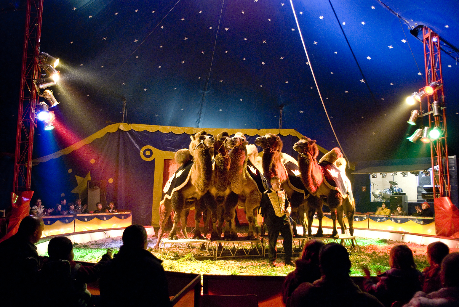 Circus Henry – Die Show, die Sie begeistern wird!